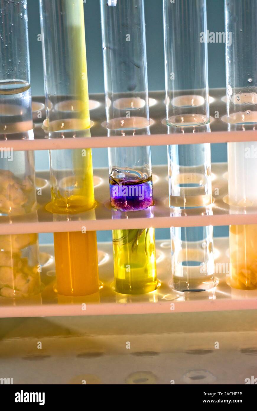 Conceptual image of a science experiment. Test tubes in a rack Stock ...