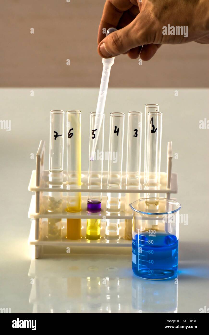 Conceptual image of a science experiment. Test tubes in a rack and a ...
