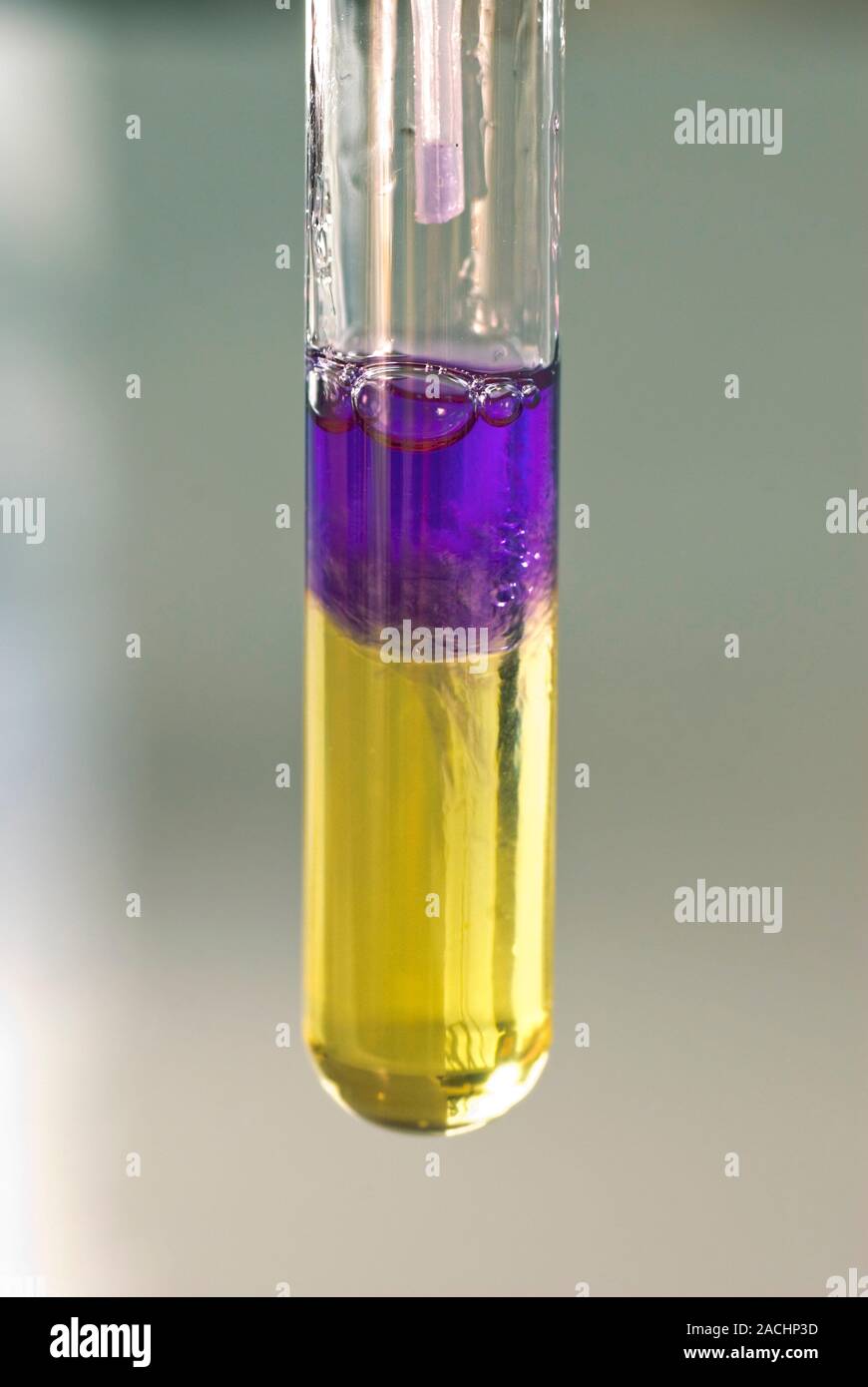 Conceptual image of a science experiment. Test tube with purple and ...