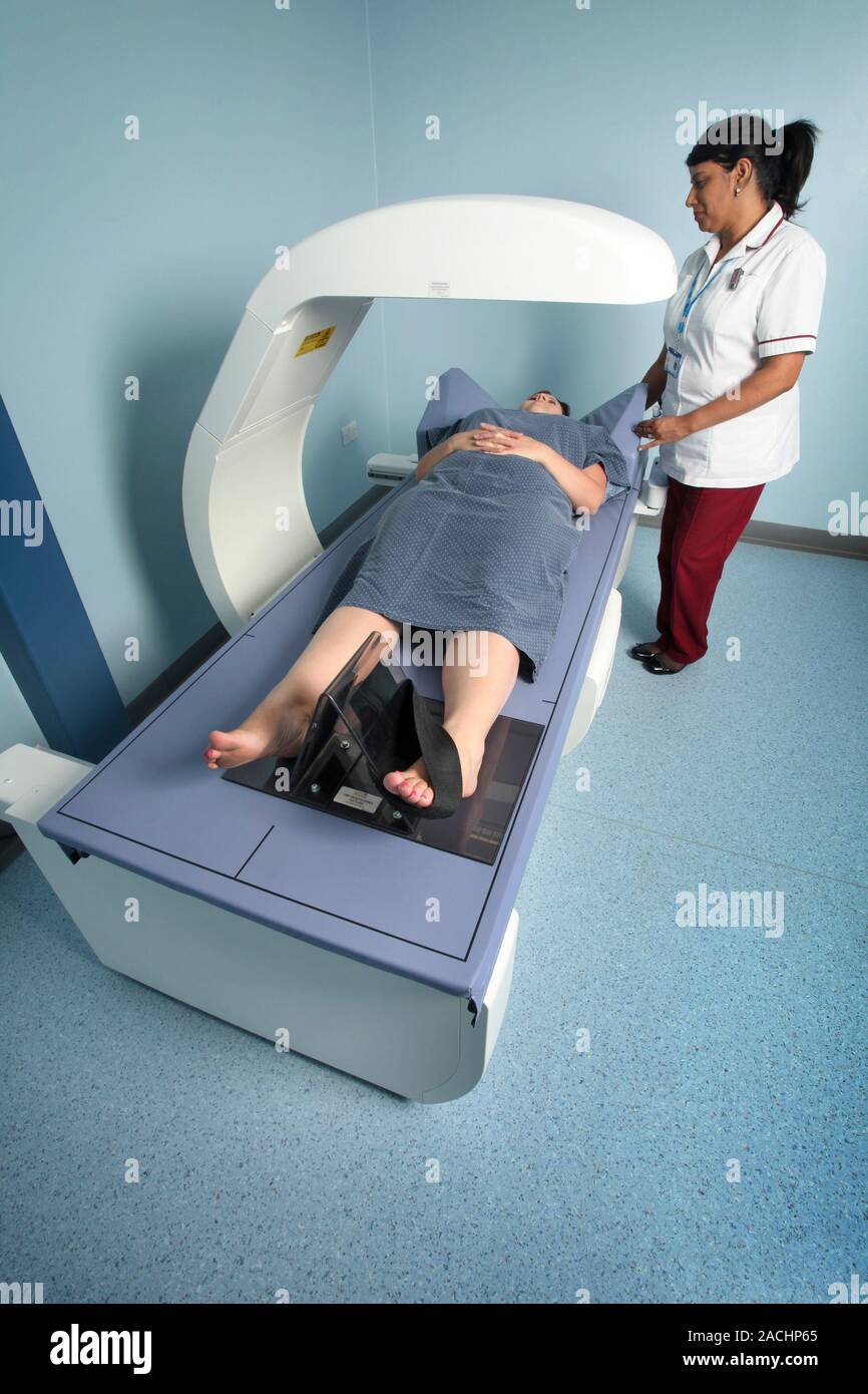 Bone density scanner. Hospital radiographer operating a dual energy X ...