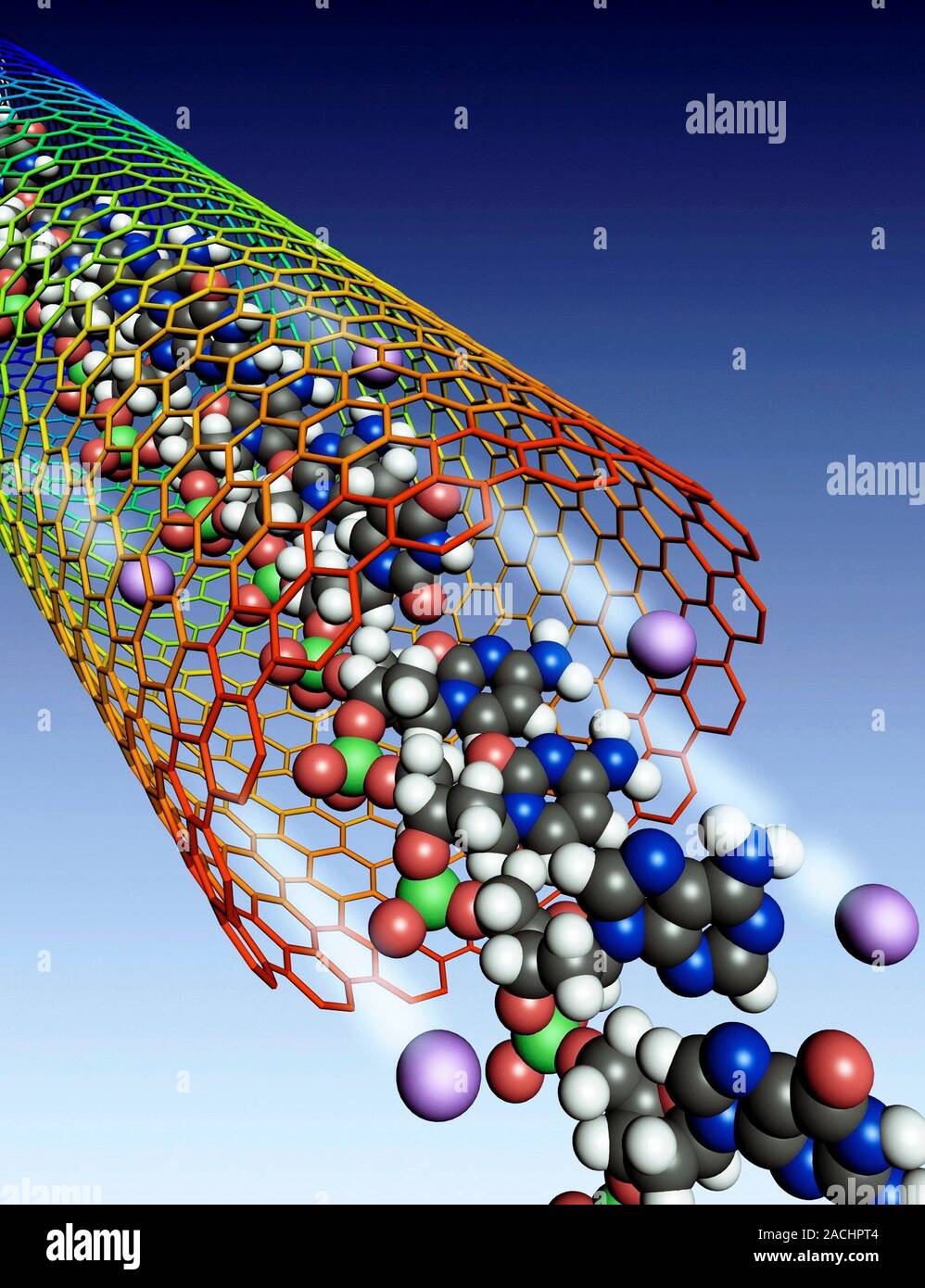 Ions and DNA in a carbon nanotube. Molecular model of ions (purple ...