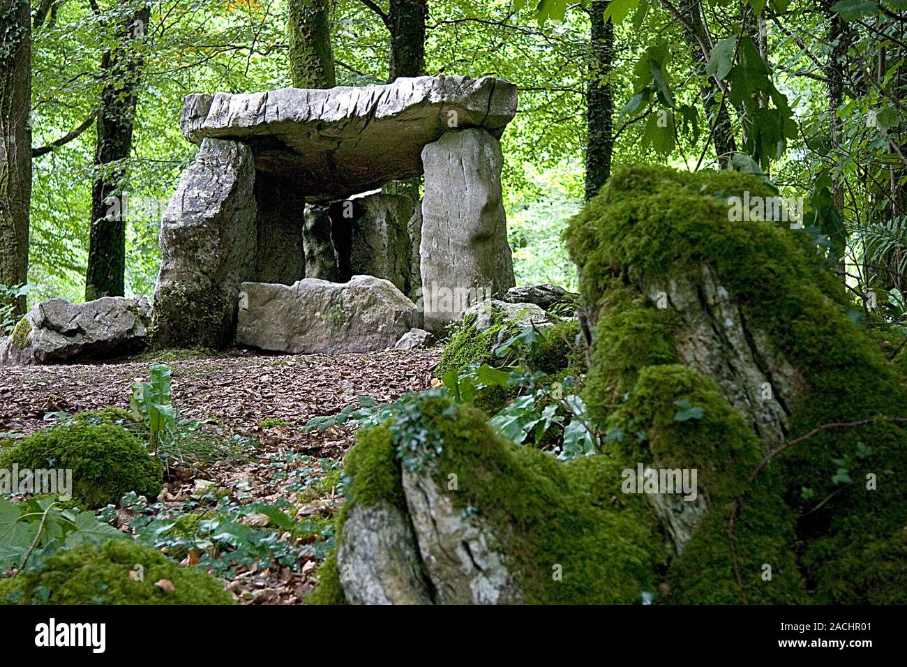 Dolmen at the Craggaunowen Project in County Clare, Ireland. A dolmen ...