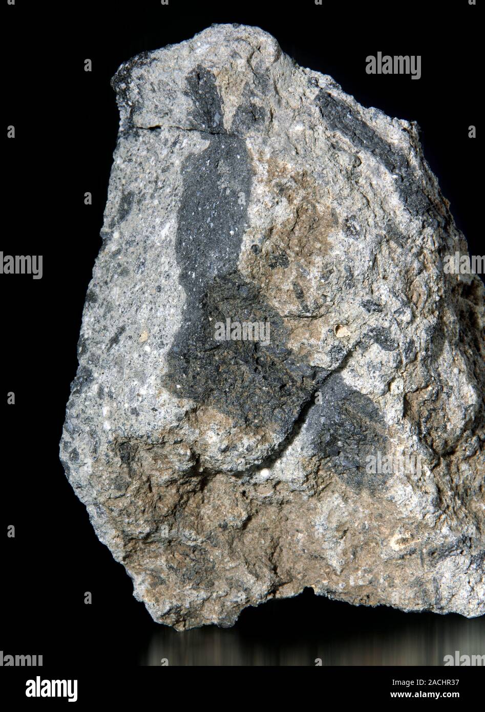 Rock from meteorite impact crater. This rock, which consists of a ...