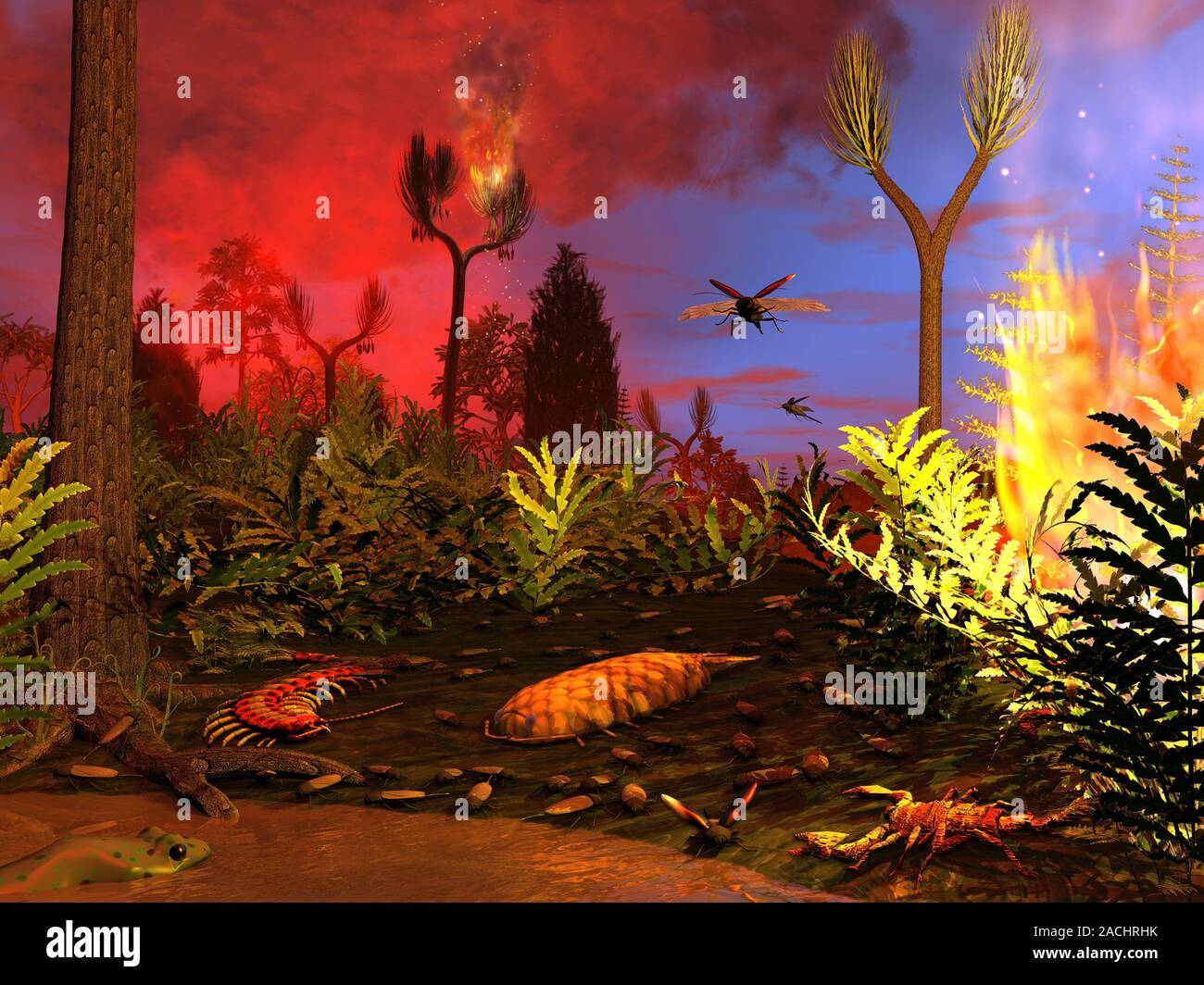 Prehistoric forest fire. Artwork of prehistoric invertebrates fleeing ...