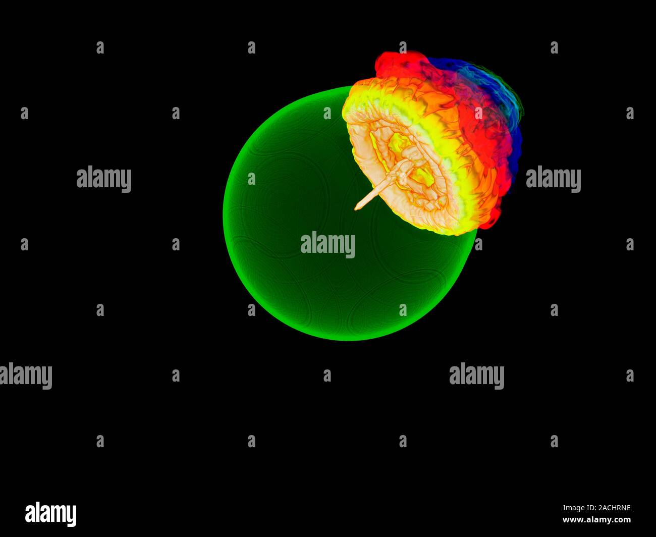 Exploding White Dwarf Star