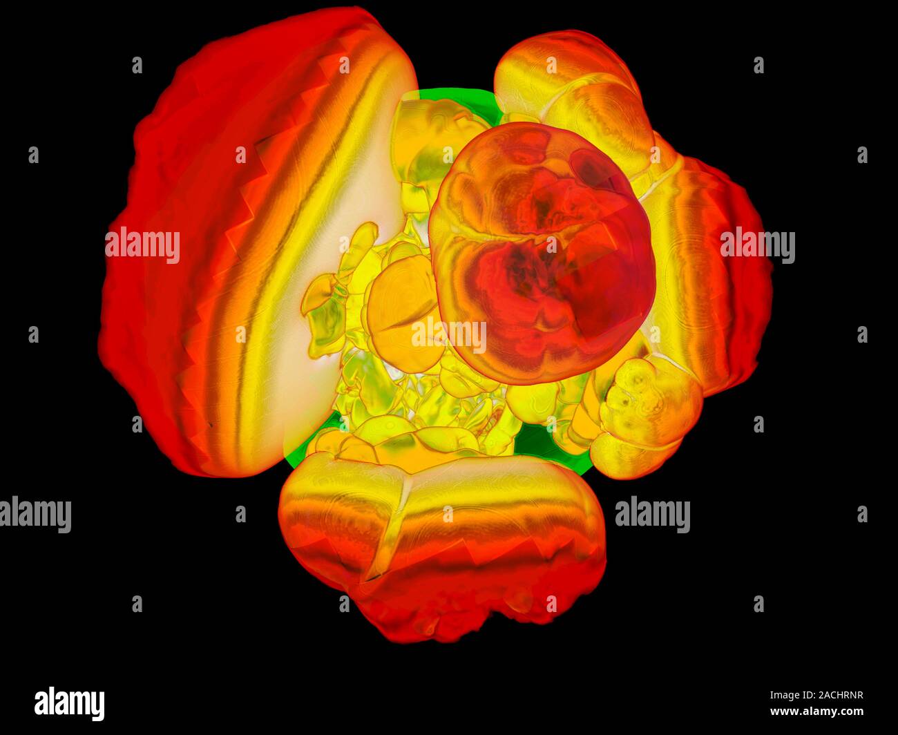 Exploding White Dwarf 3d Simulation Supercomputer Model Of A Type Ia
