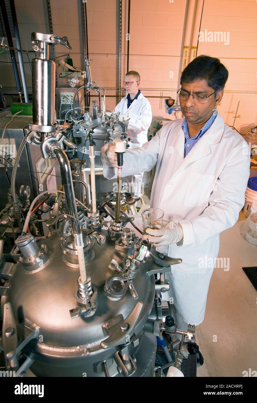 Bio-ethanol production research. Chemists sampling cellulosic ethanol ...