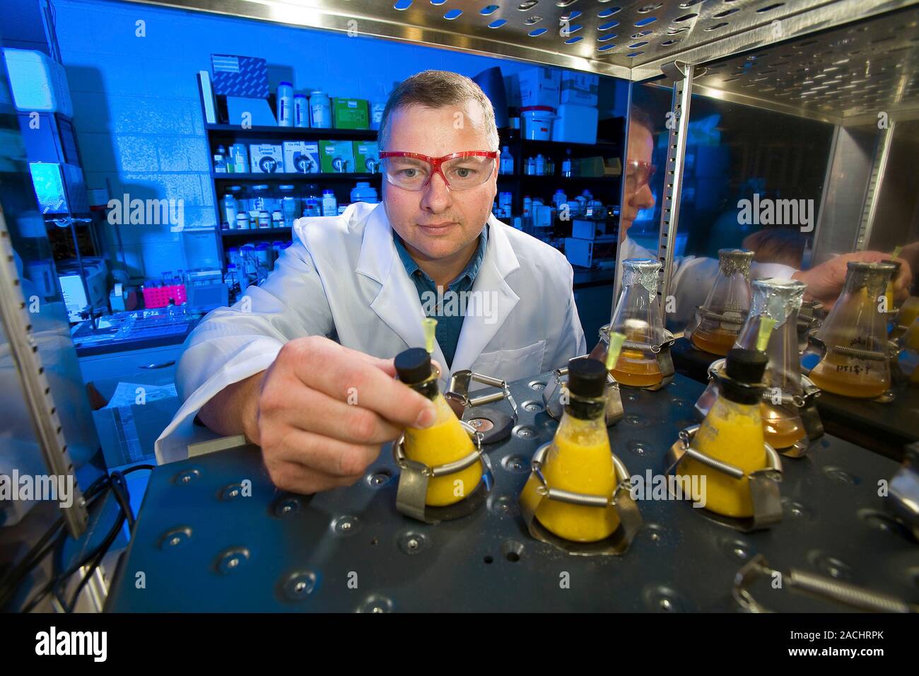 Bio-ethanol production research. Microbiologist, who developed the ...