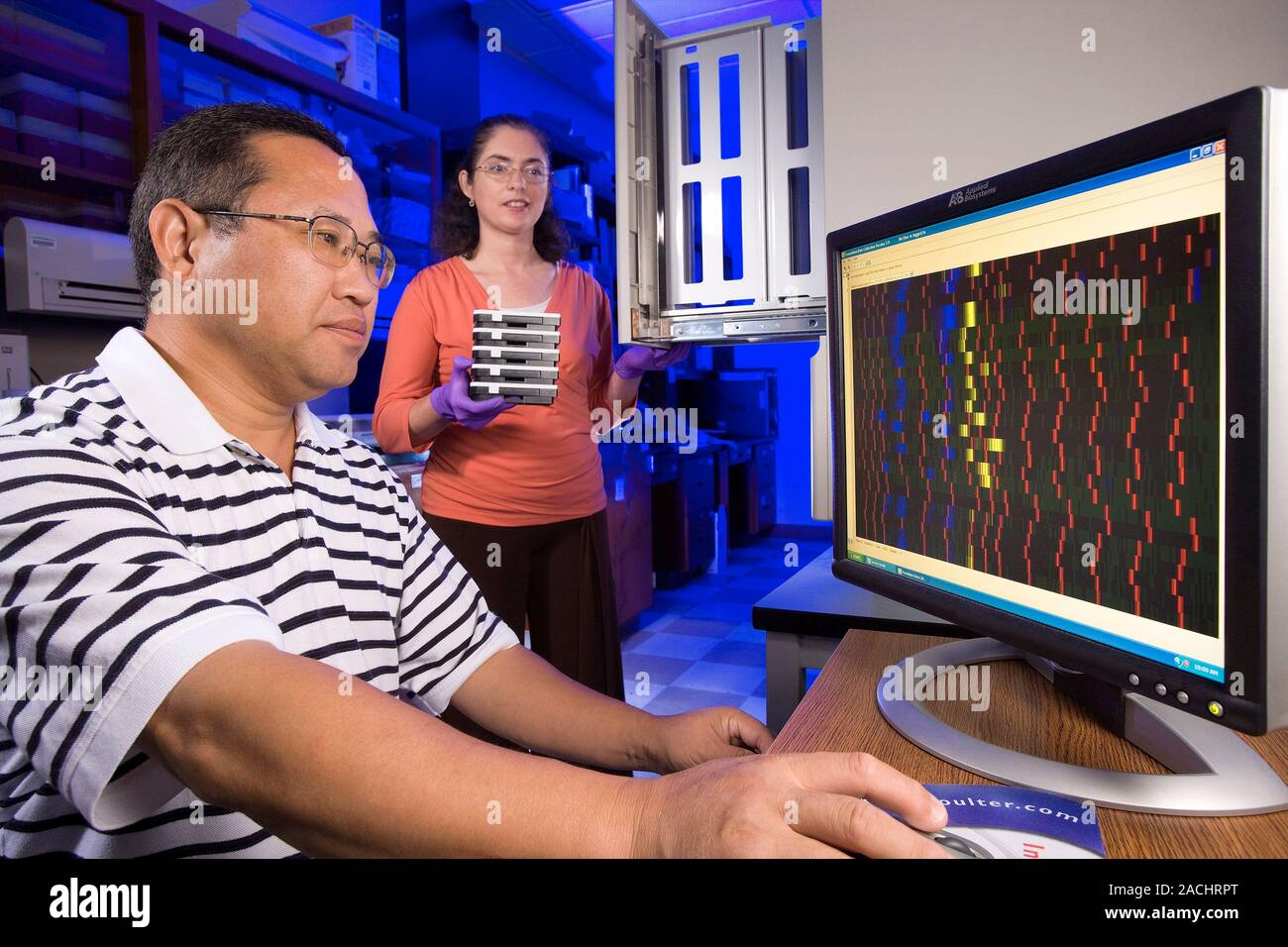 Plant fungus resistance research. Researchers using an automated genotyping system to analyse ...