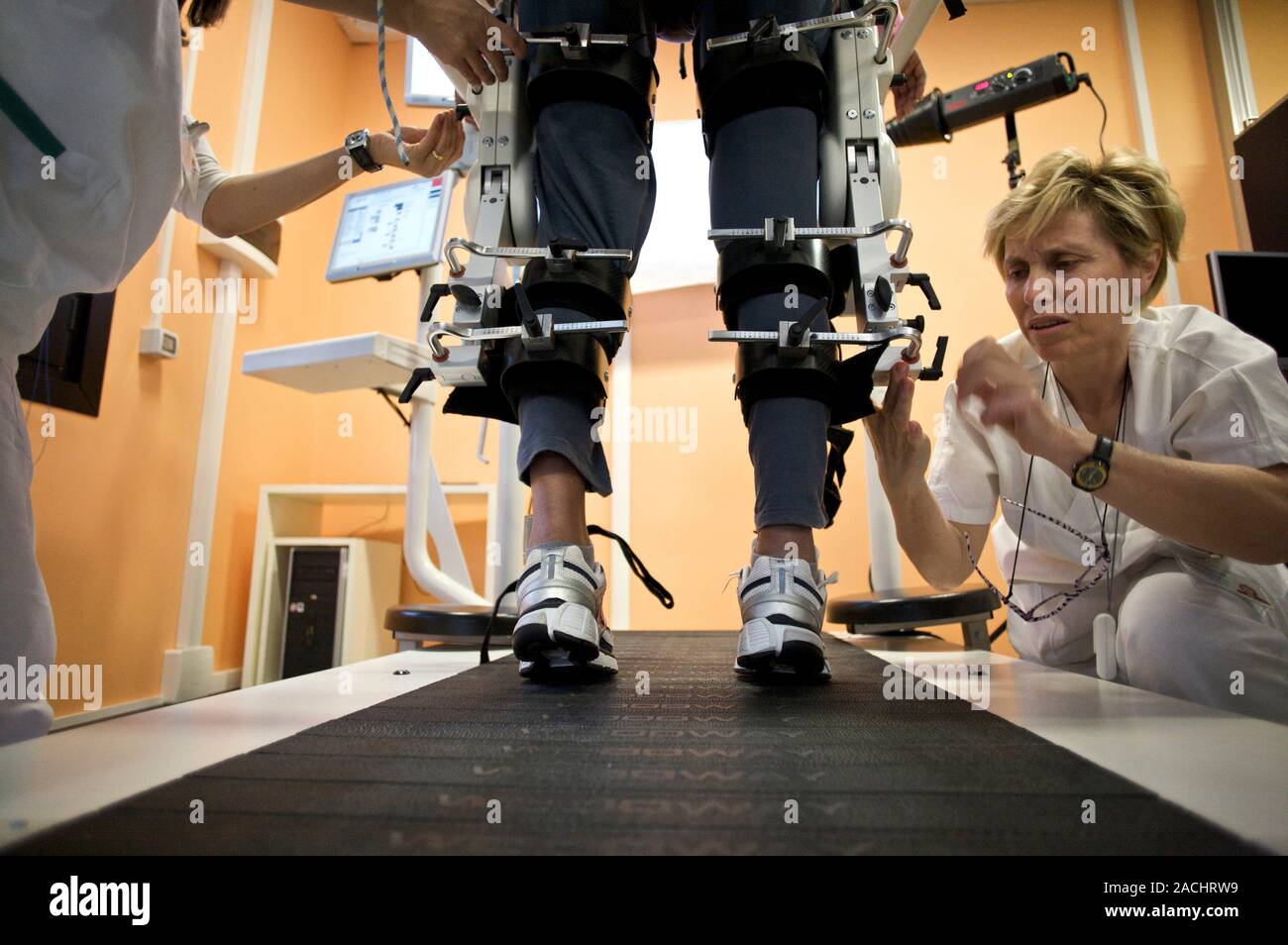 Lokomat walking therapy. Nurses adjusting leg cuffs on the robotic leg ...