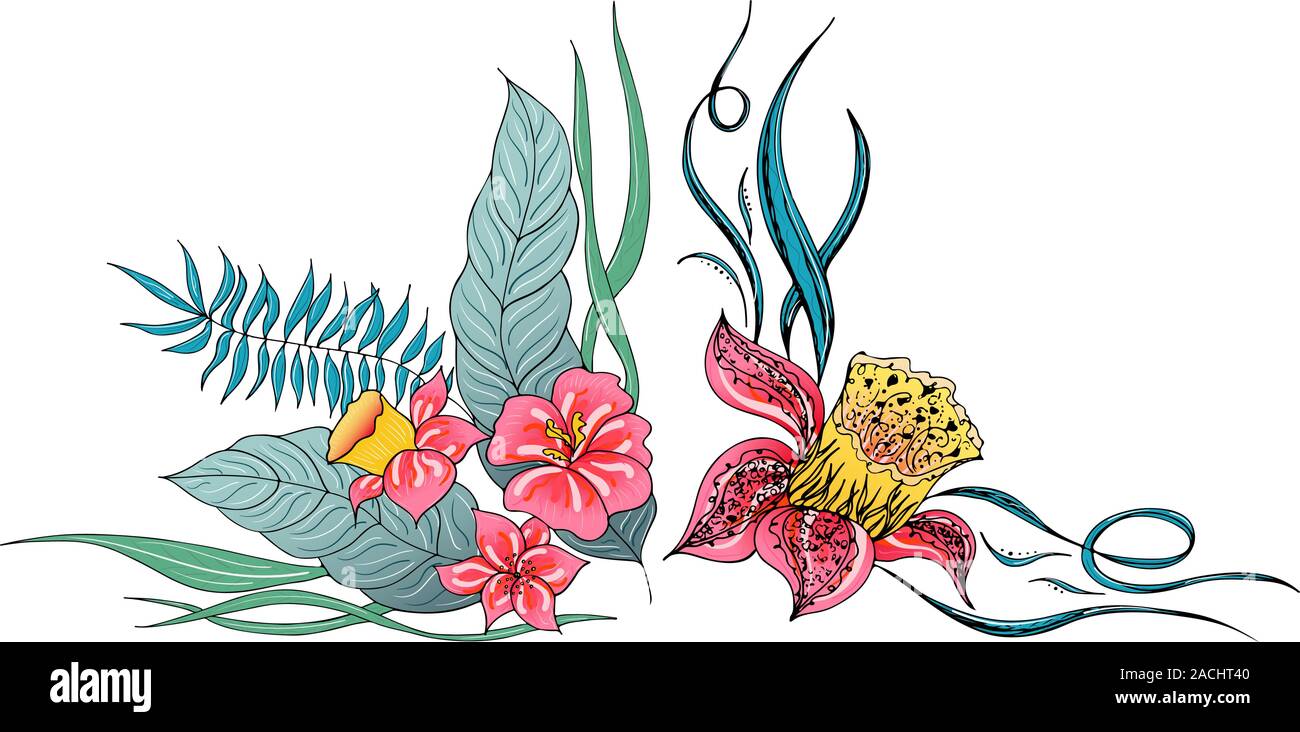 Set of two summer colorful tropical flowers. Floral botanical flower ...