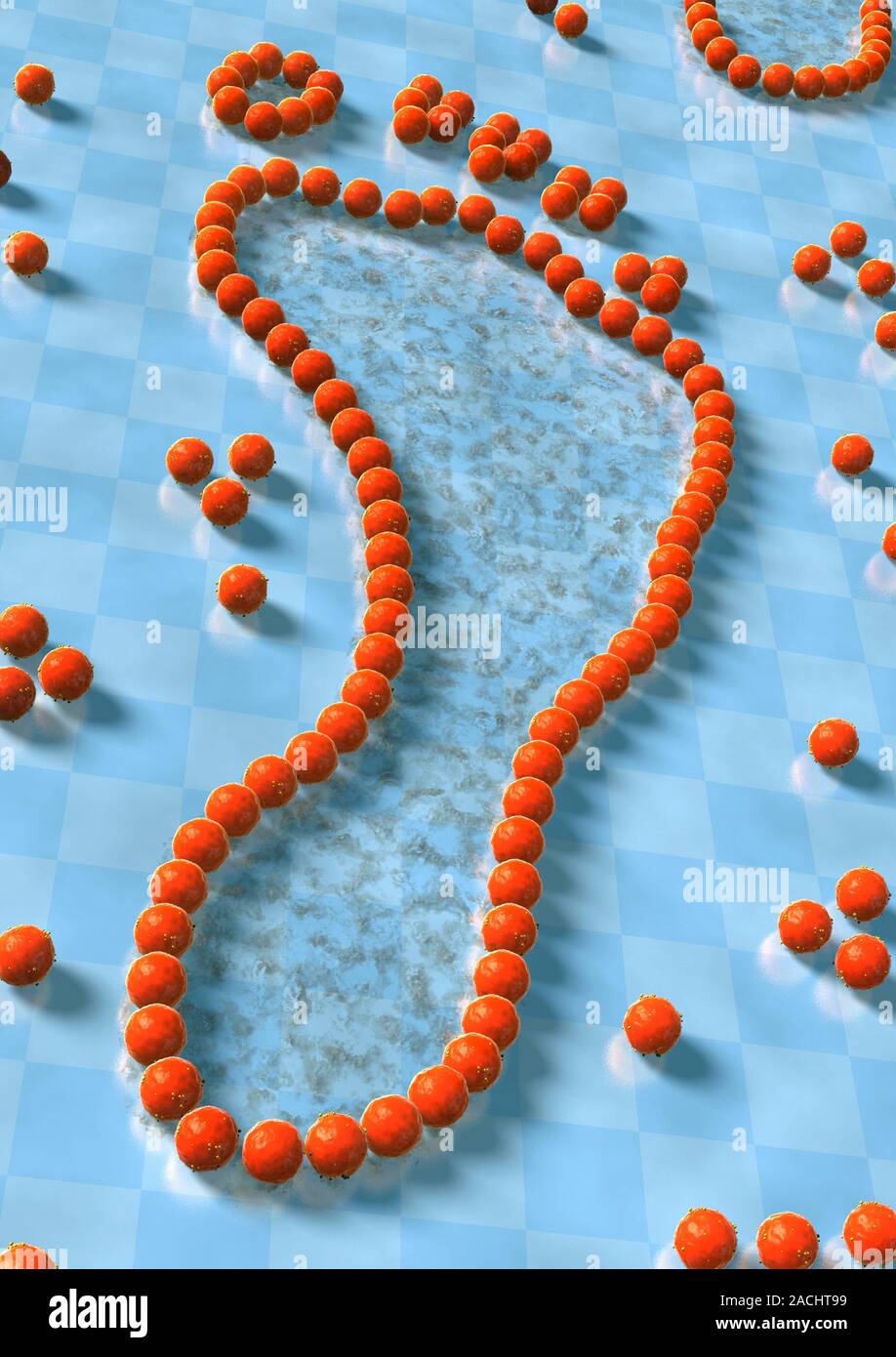 Fungal foot infection, conceptual artwork. Single-celled fungi in shape ...