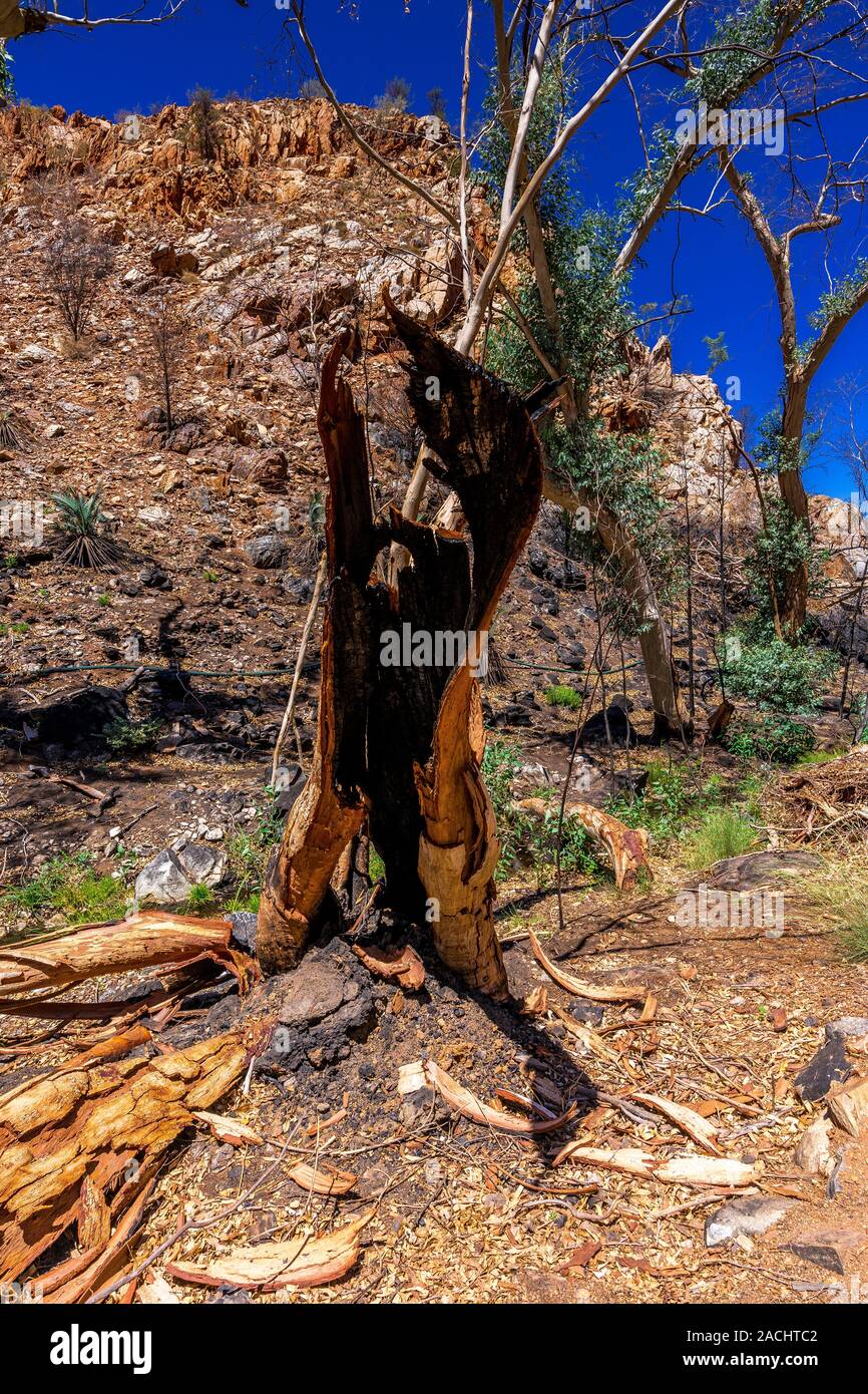After effects of wildfire hi-res stock photography and images - Alamy