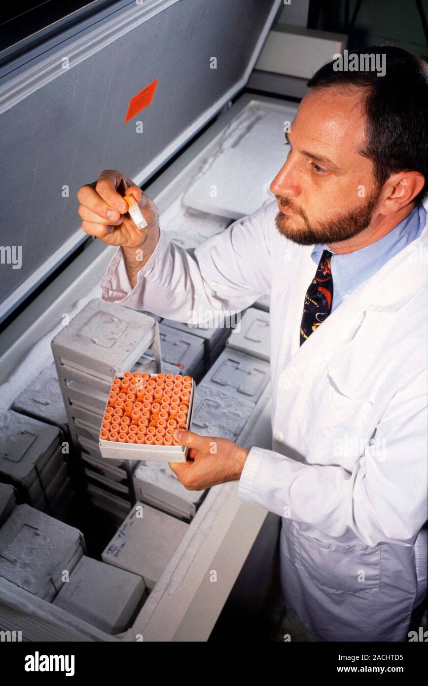 Trans fat food research. Physiologist sorting vials of plasma and serum ...