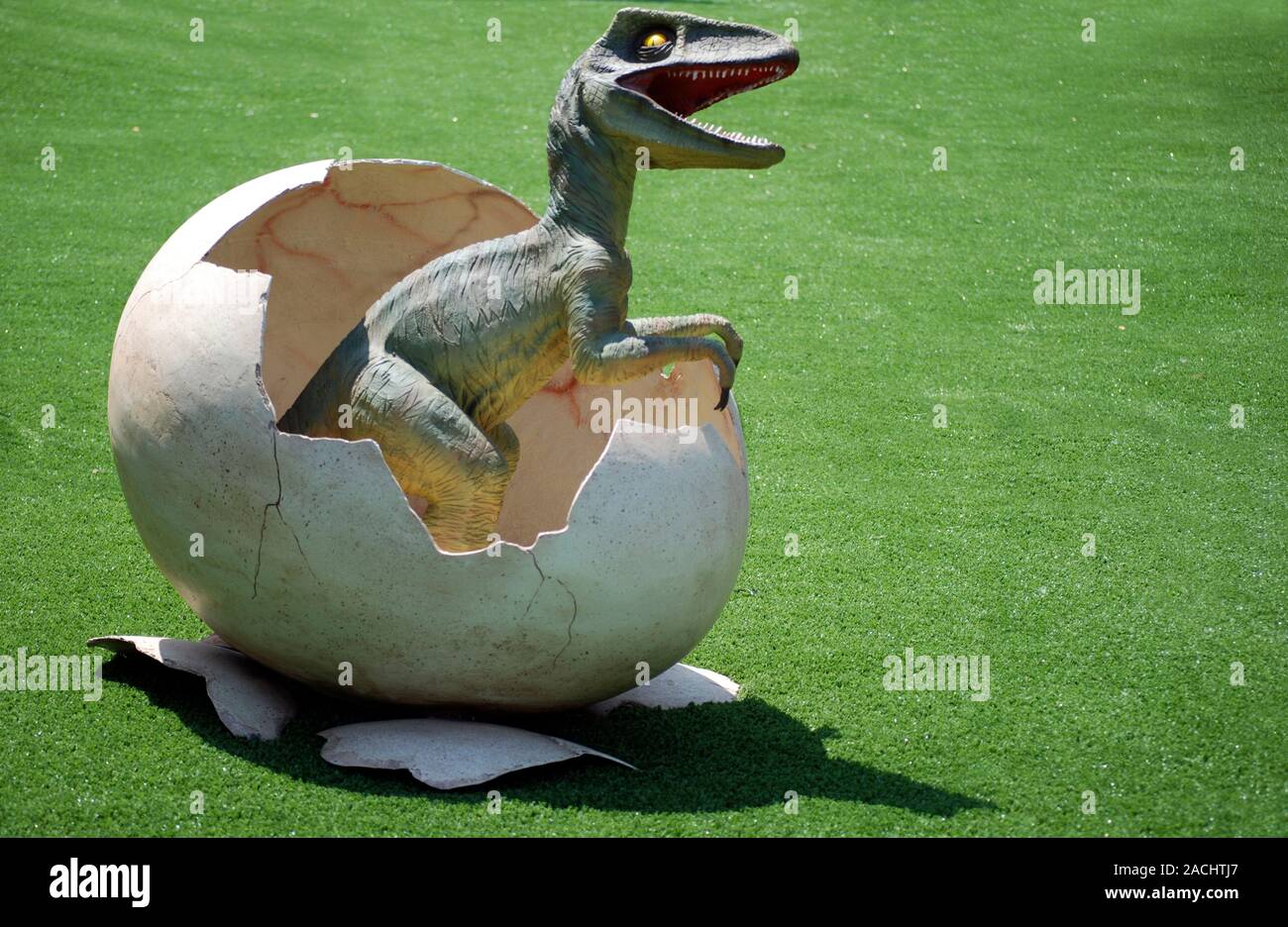 Model dinosaur. Model of a Velociraptor hatching from its egg Stock ...
