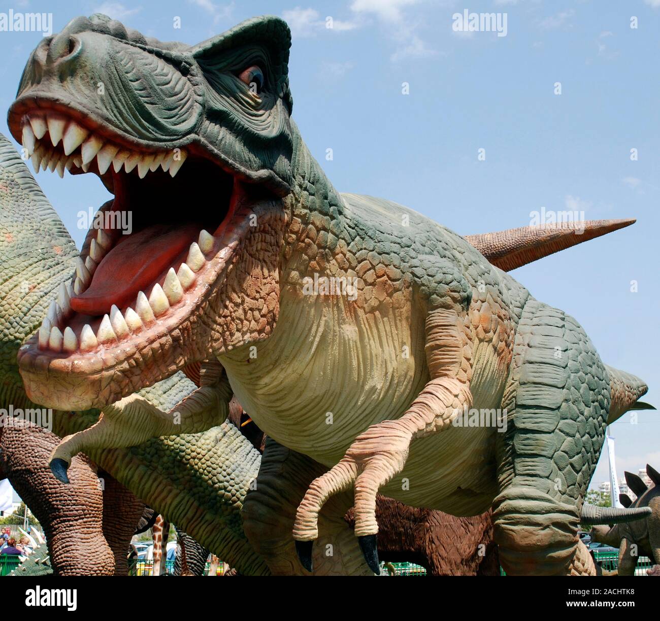 Model dinosaur. Model of a Tyrannosaurus rex dinosaur Stock Photo - Alamy