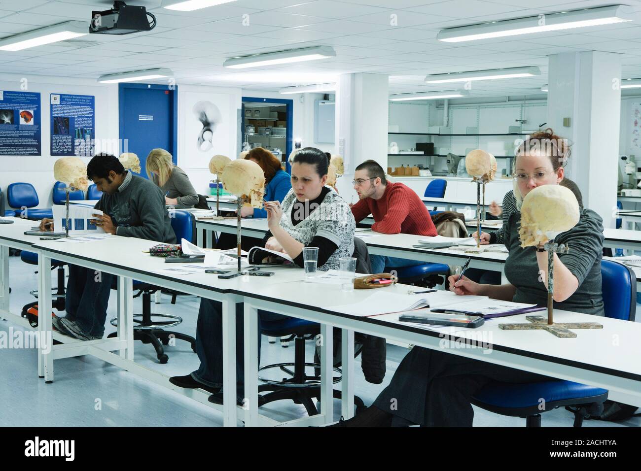 Facial reconstruction is the process of rebuilding a face from the ...