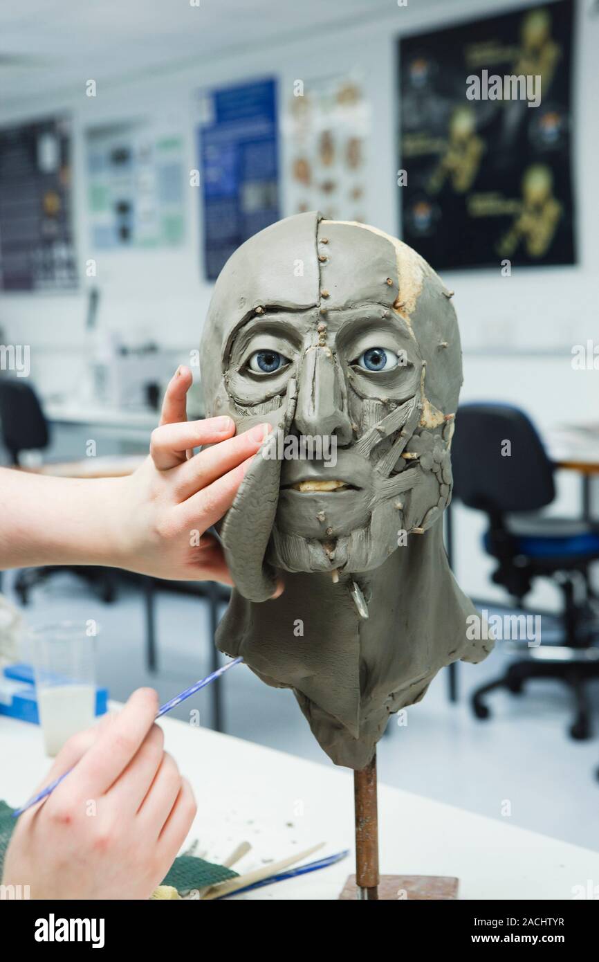 Facial reconstruction is the process of rebuilding a face from the ...
