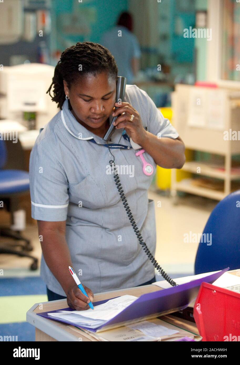 Hospital staff. Health care assistant on a ward making notes while ...