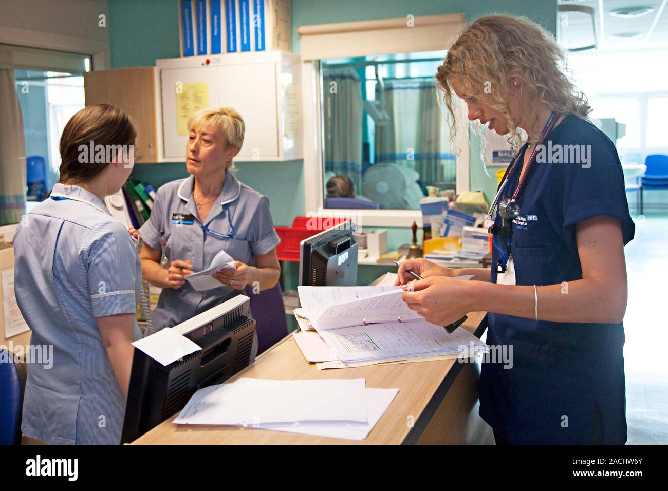 Hospital staff. Doctor on a ward looking through patient notes, with ...