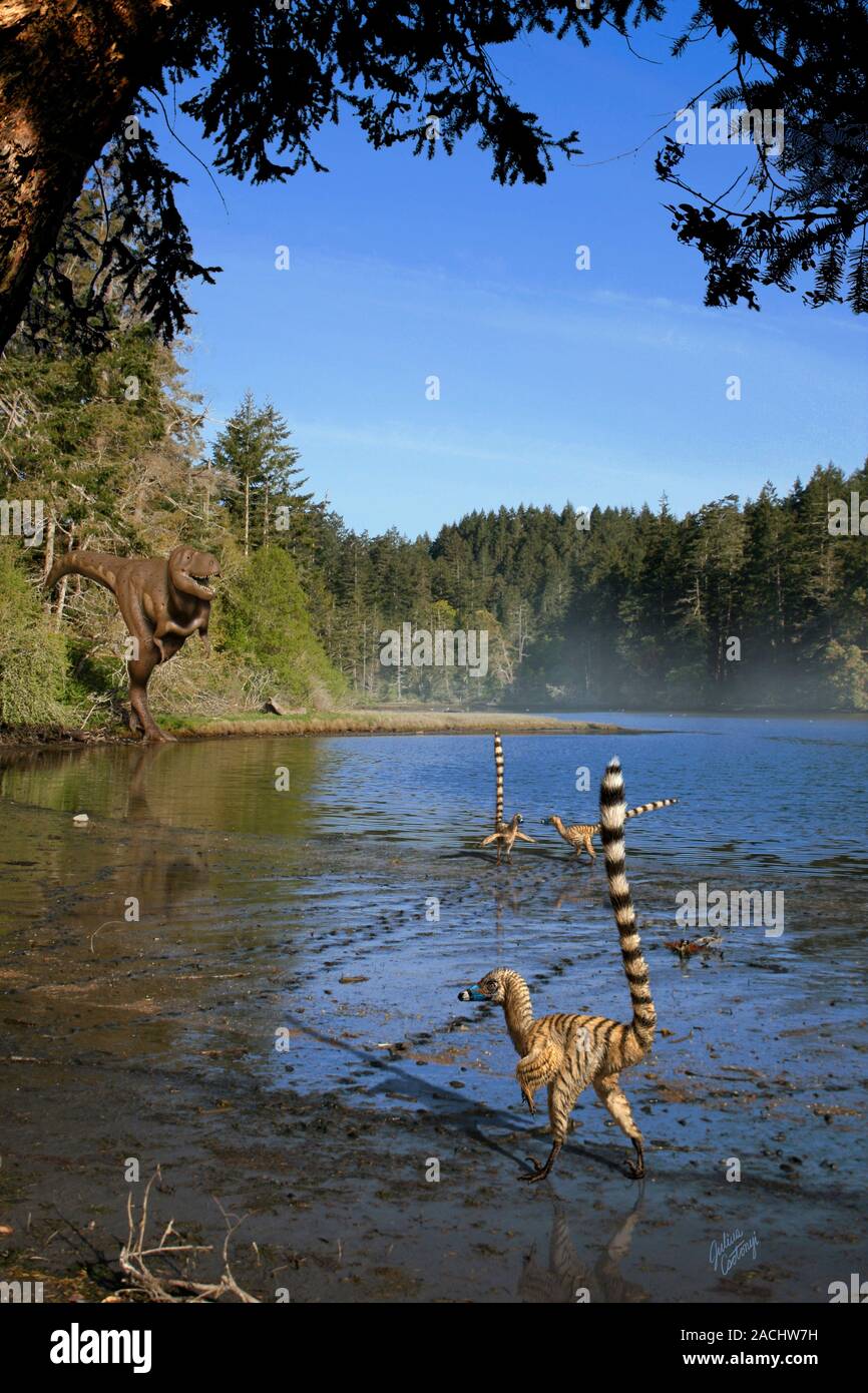 Hesperonychus elizabethae dinosaurs, artwork. These small predatory ...