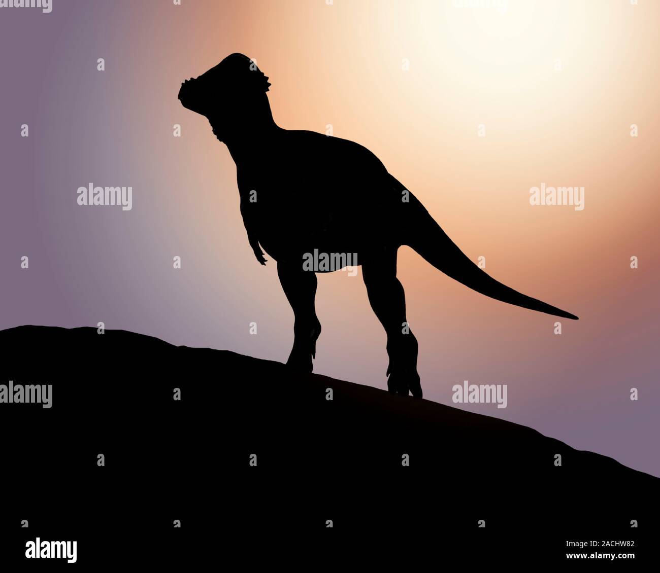 Extinction of the dinosaurs, artwork. The bone-headed dinosaur ...