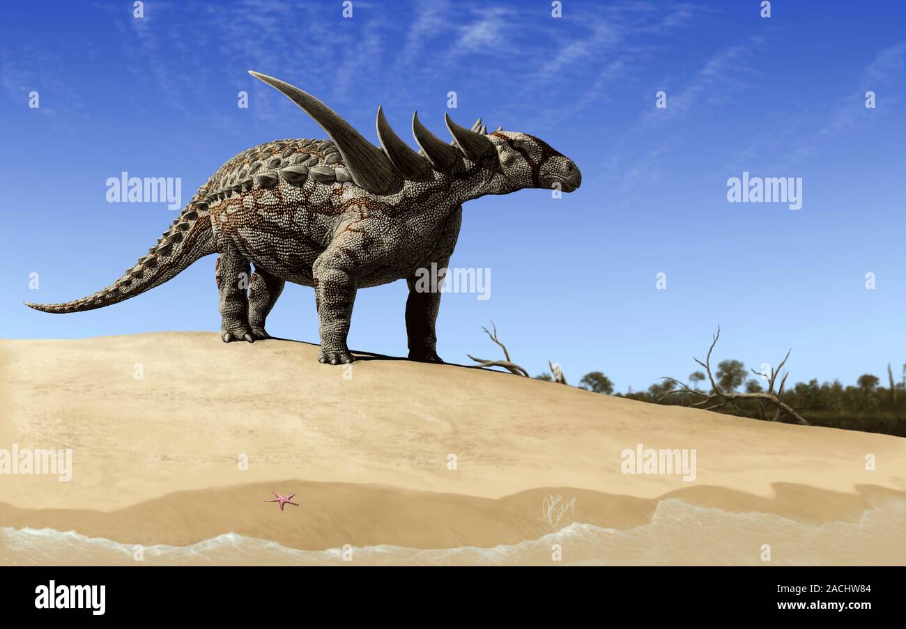 Sauropelta edwardsorum dinosaur, artwork. This early nodosaurid ...