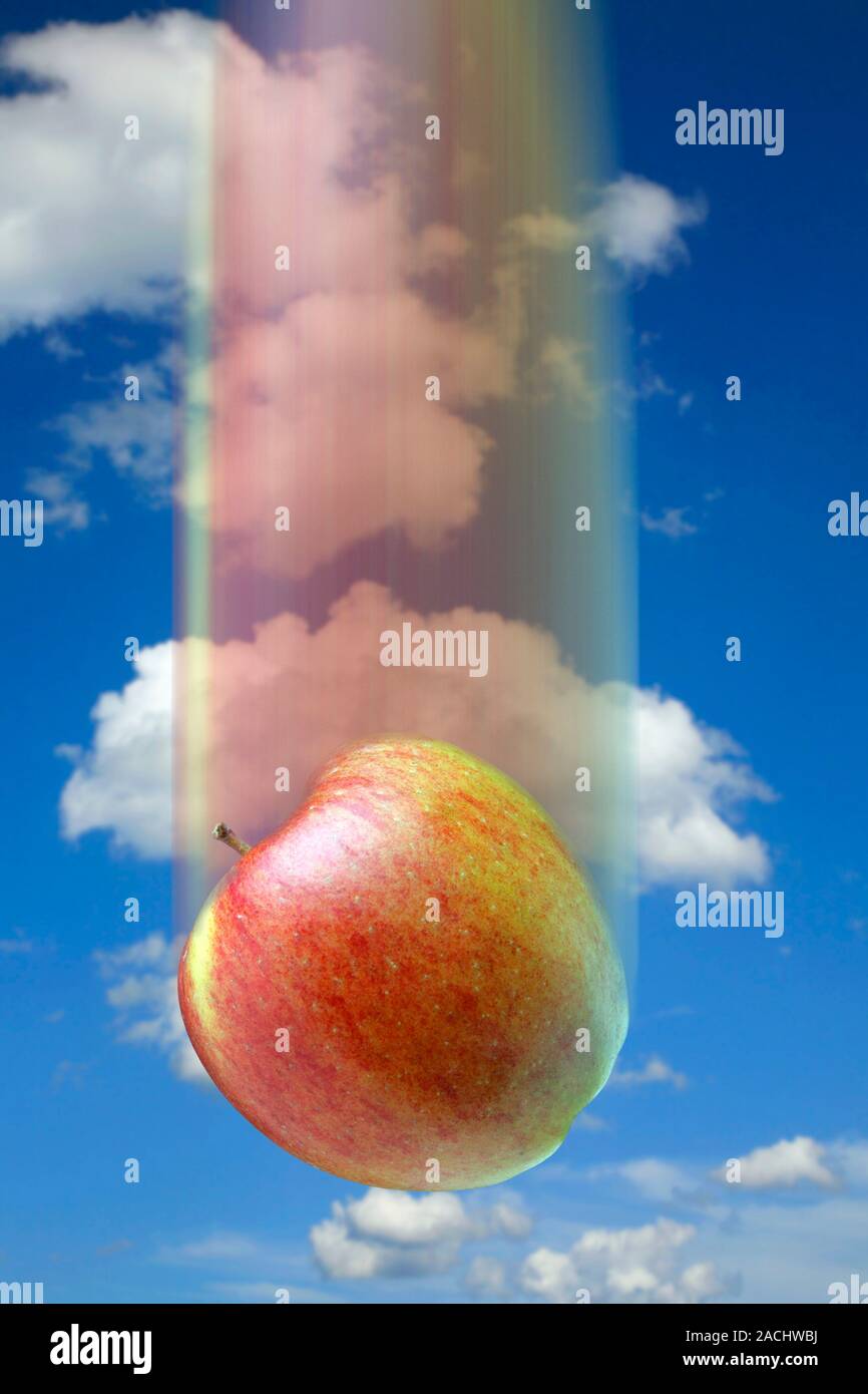 Gravity, conceptual image. Apple falling to Earth Stock Photo - Alamy