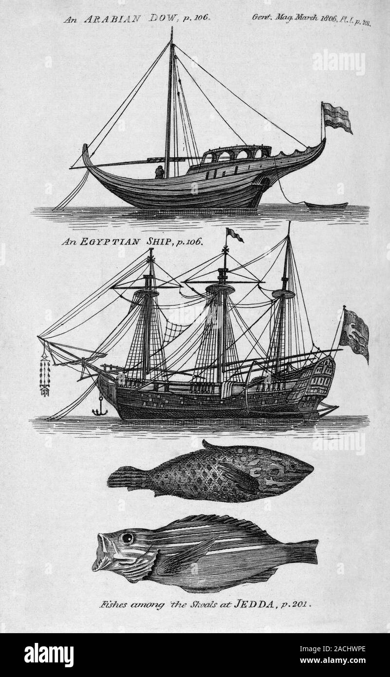 Red Sea ships and fish. An engraved page with illustrations of two ...