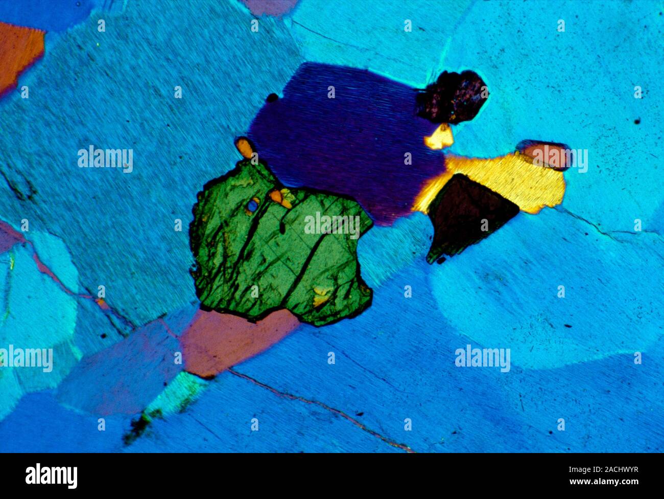 Mica in quartz, polarized light micrograph. This is a thin section ...