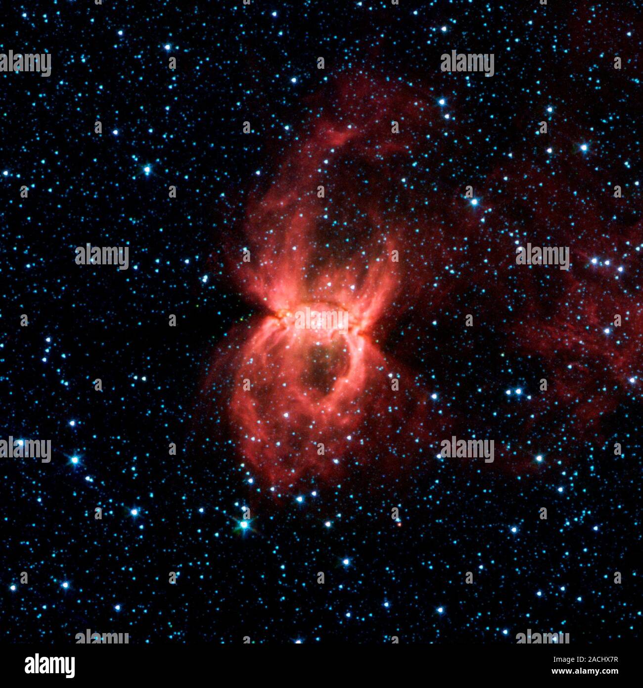 Black widow nebula, infrared Spitzer Space Telescope image. Massive ...