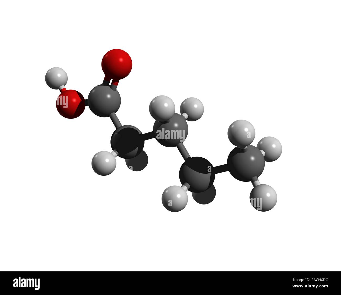 Valeric acid, molecular model. Valeric acid, also called pentanoic acid ...