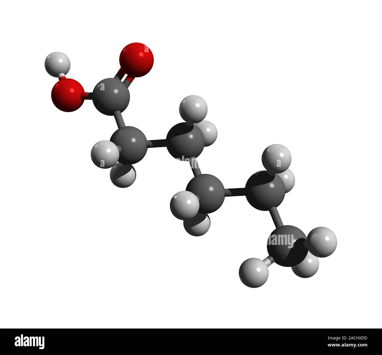 Caproic acid, molecular model. Caproic acid, also called hexanoic acid ...