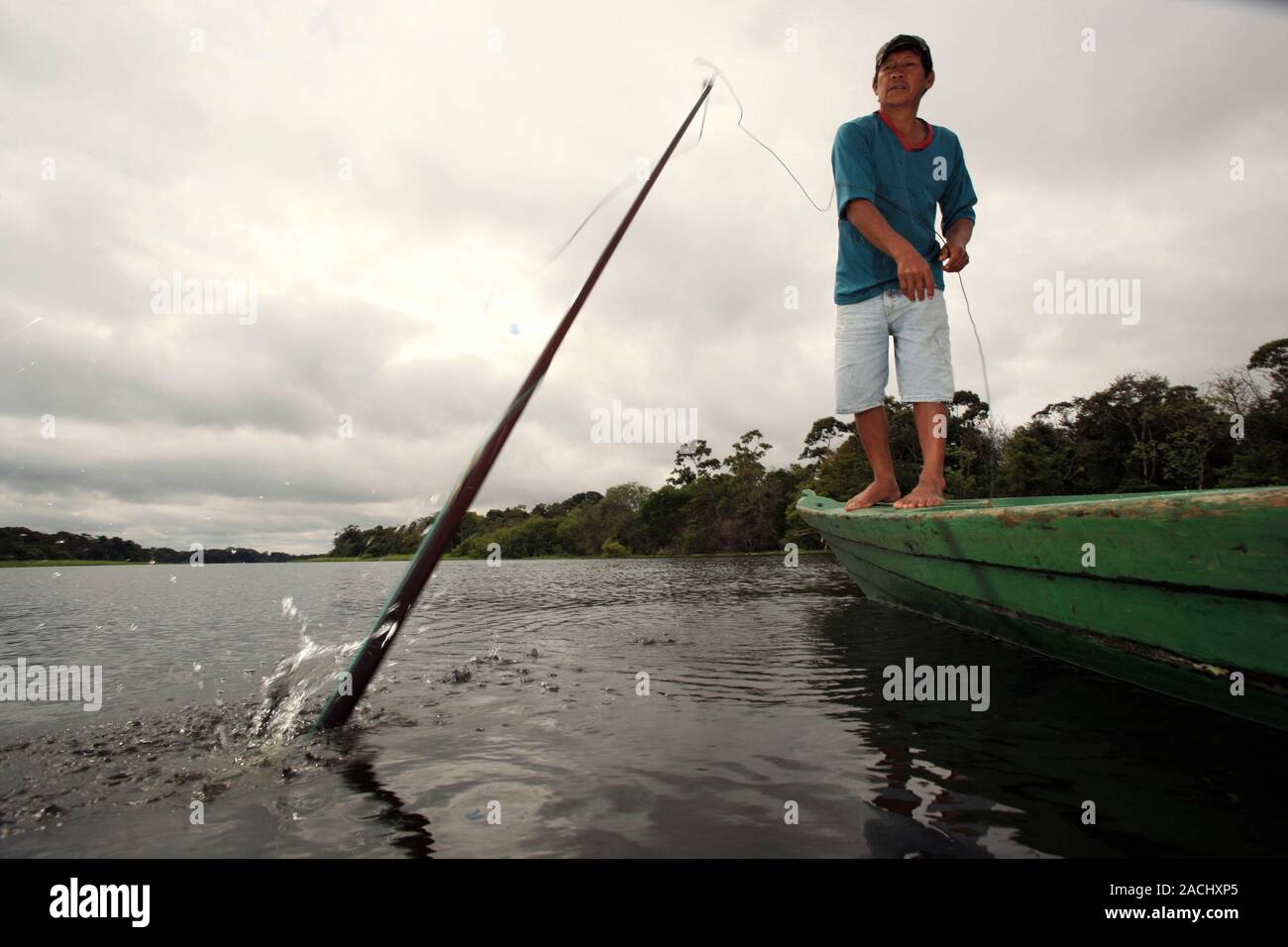 Throwing a fishing spear, Amazonia, Brazil. Local fisherman engaging in ...