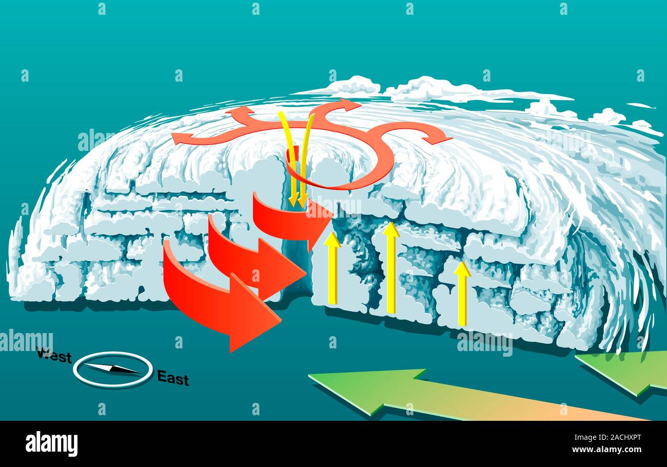 Hurricane. Computer artwork showing how a hurricane forms. Warm moist ...