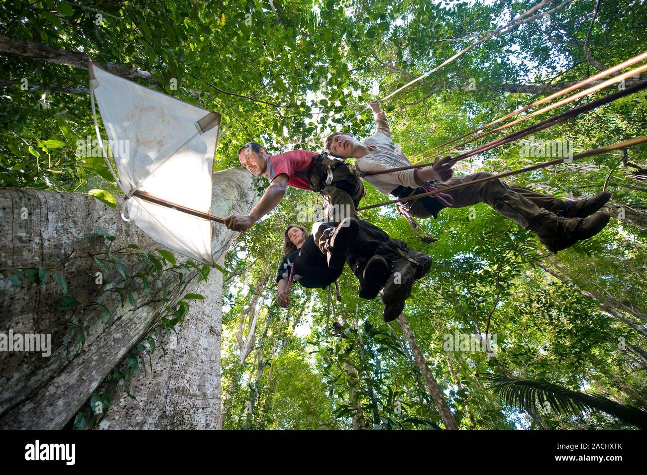 Rainforest educational mission. Students and their teacher collecting ...