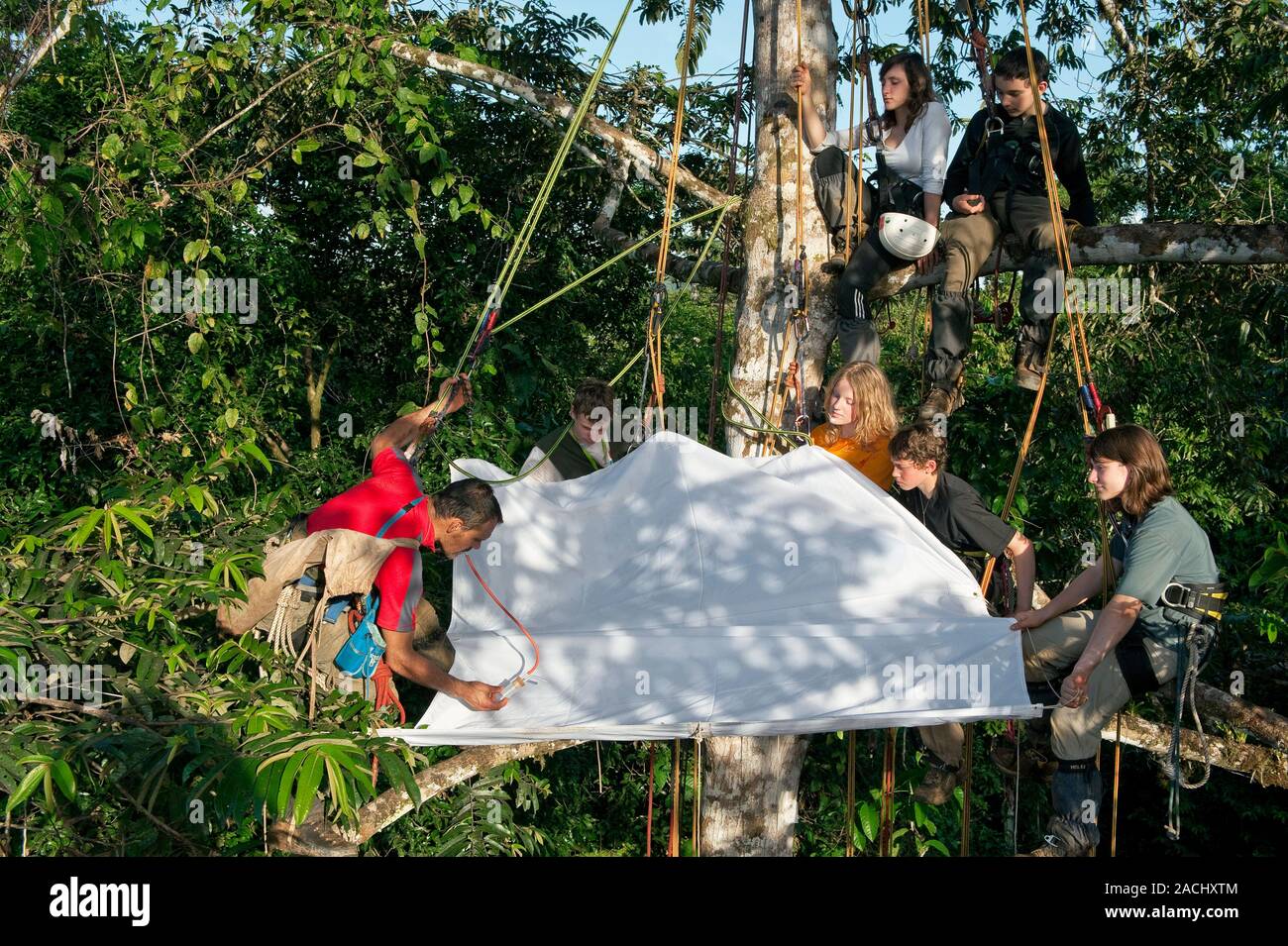Rainforest educational mission. Students and their teacher collecting ...