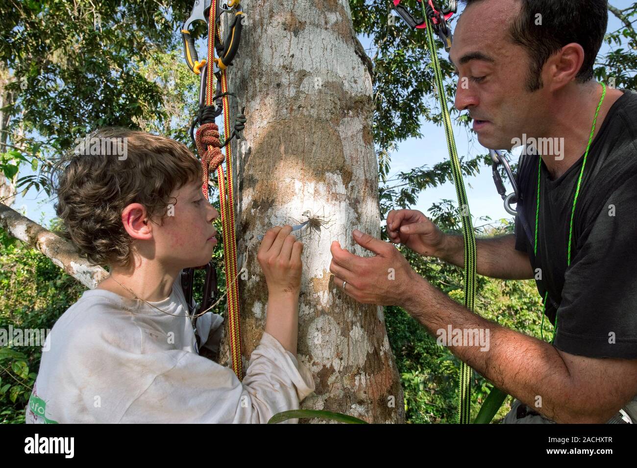 Rainforest educational mission. Student and teacher collecting insects ...