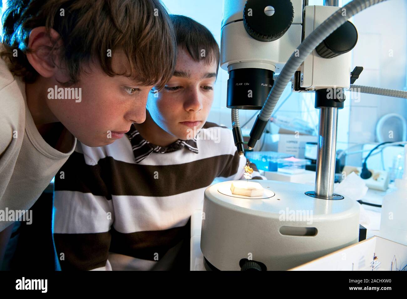 Rainforest educational mission. Students using a microscope to examine ...