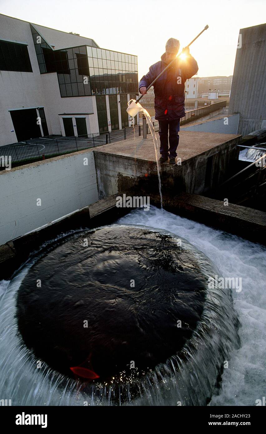Water industry. Worker sampling water near the intake pipes for a ...