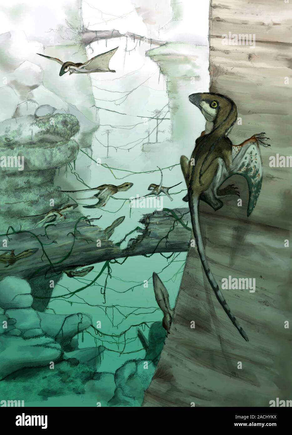 Pterosaur ancestor, artwork. Pterosaurs were flying reptiles that lived ...