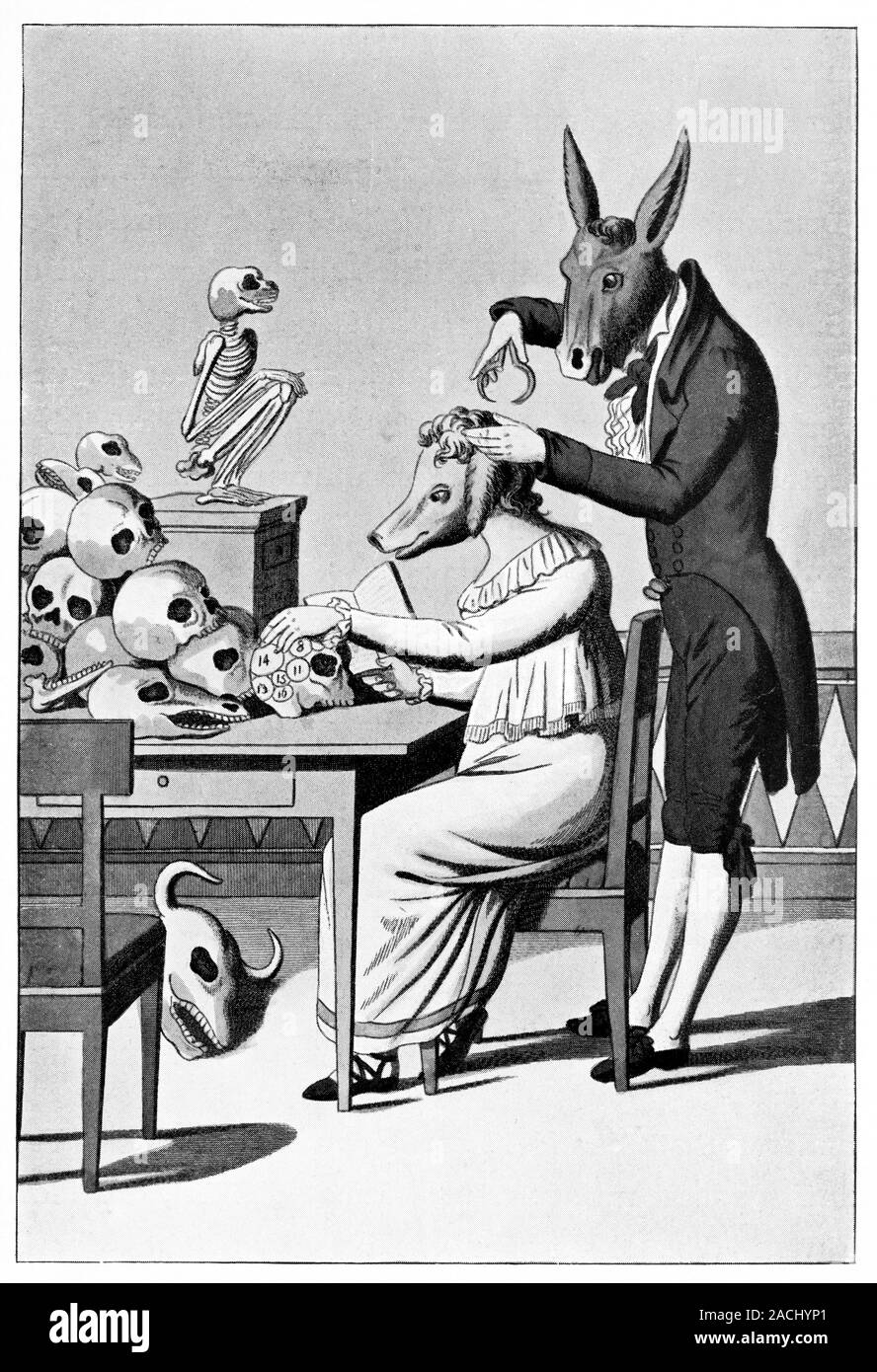 Phrenology. Satirical artwork showing animal-headed researchers ...