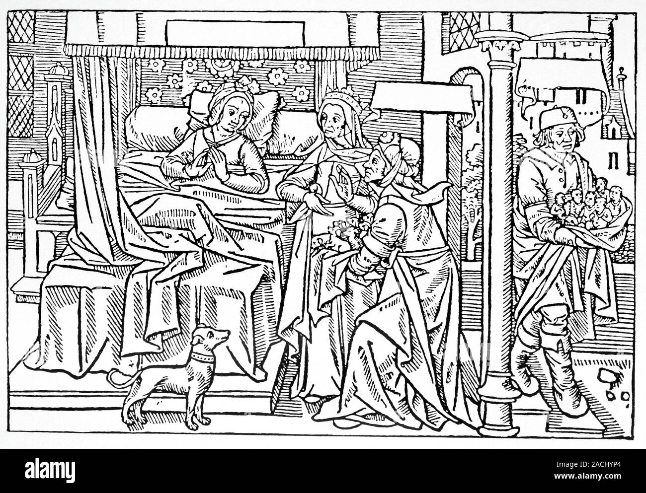 Multiple births. 16th century artwork showing multiple births of dogs ...