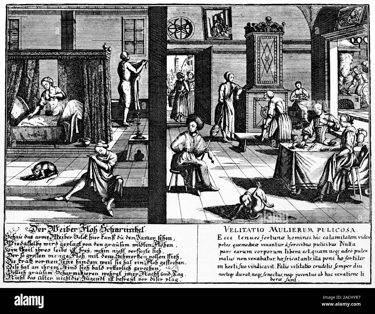 Flea infestation. 17th century artwork depicting a group of women ...