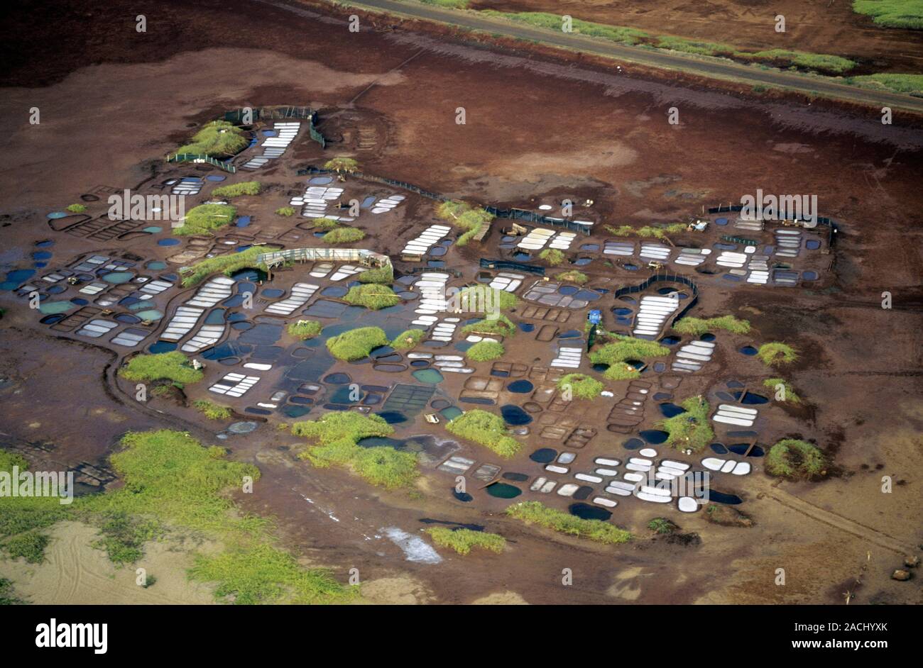 Hawaii salt pans, aerial photograph. These salt pans are near Hanepepe ...