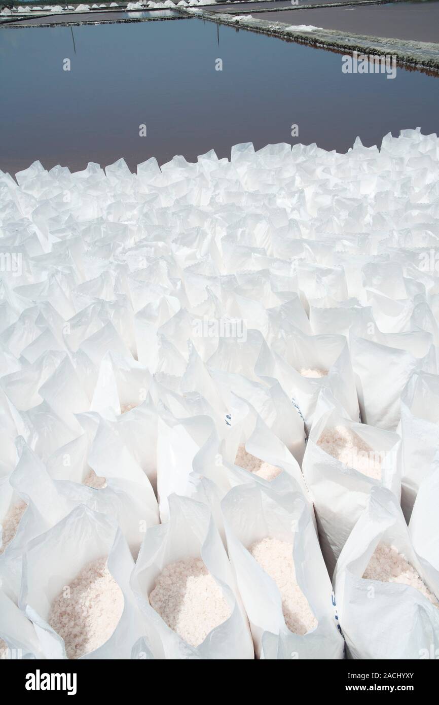 Tanzania salt pans. Array of bags packed full of salt after being mined ...