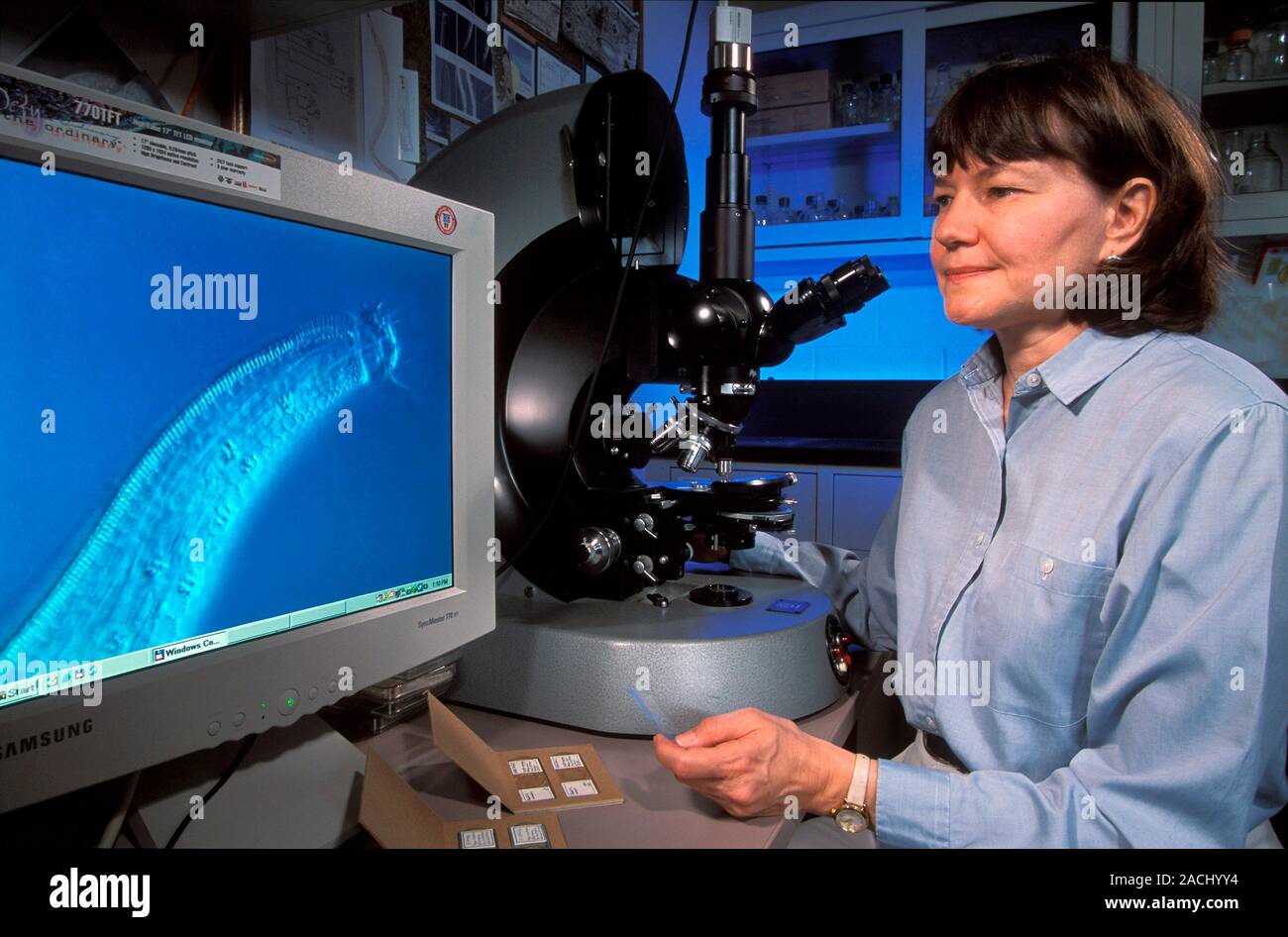 Plant bio-control research. Plant pathologist using a high-powered ...