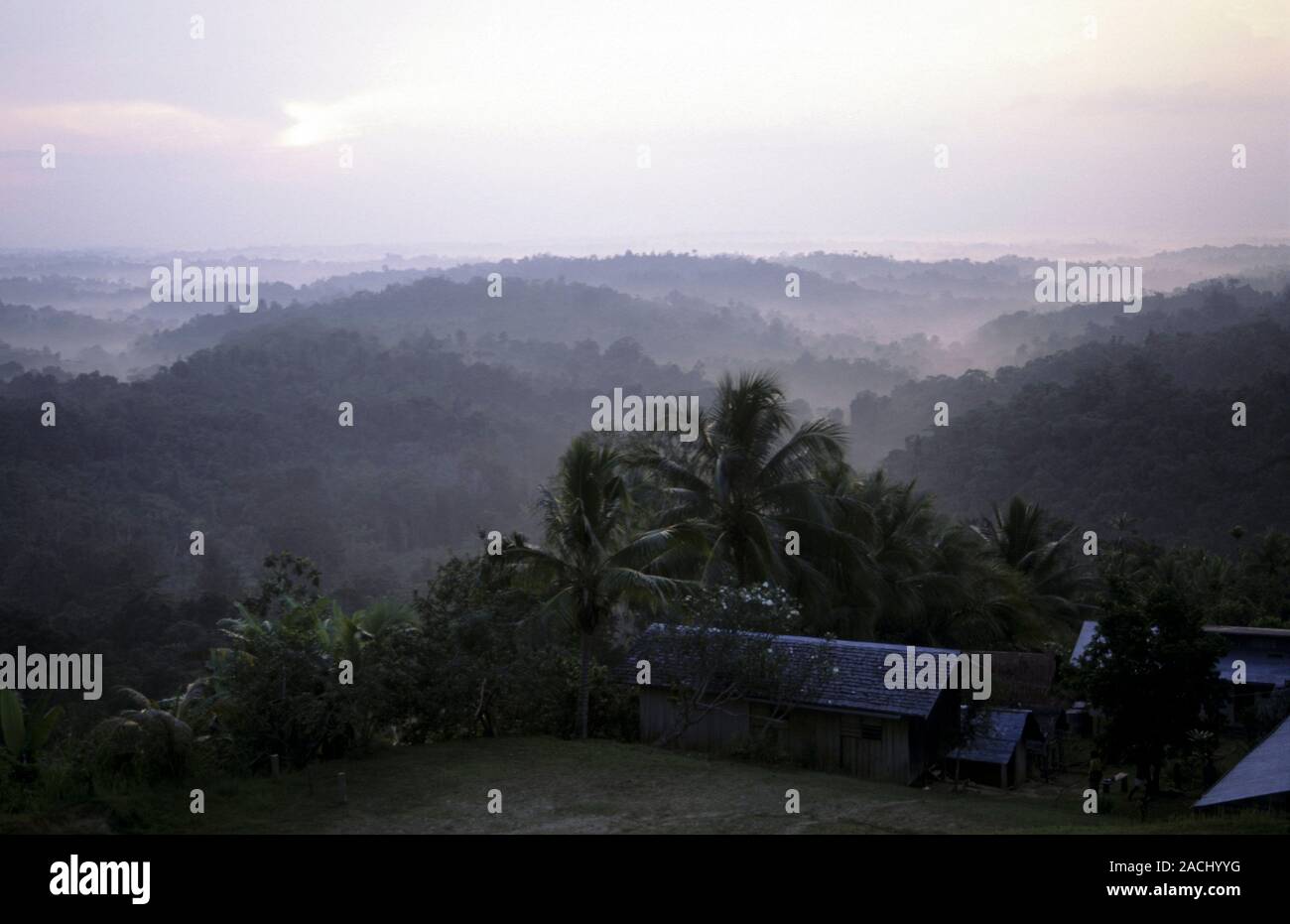 Papua New Guinea landscape. Dawn light over misty hills covered in ...
