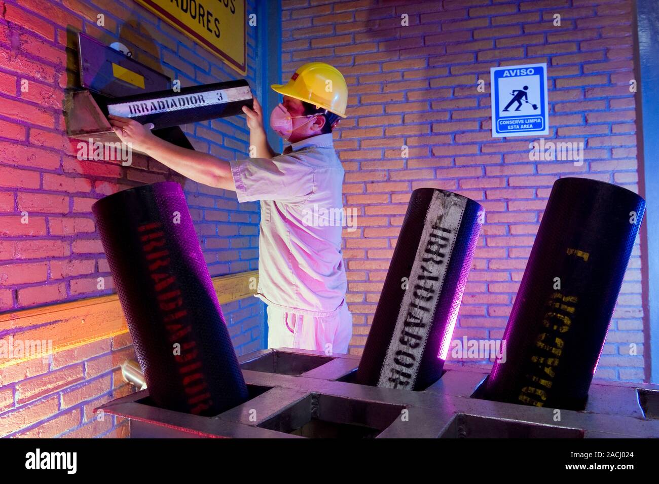 Screw-worm fly research. Worker at a breeding program used to study and ...