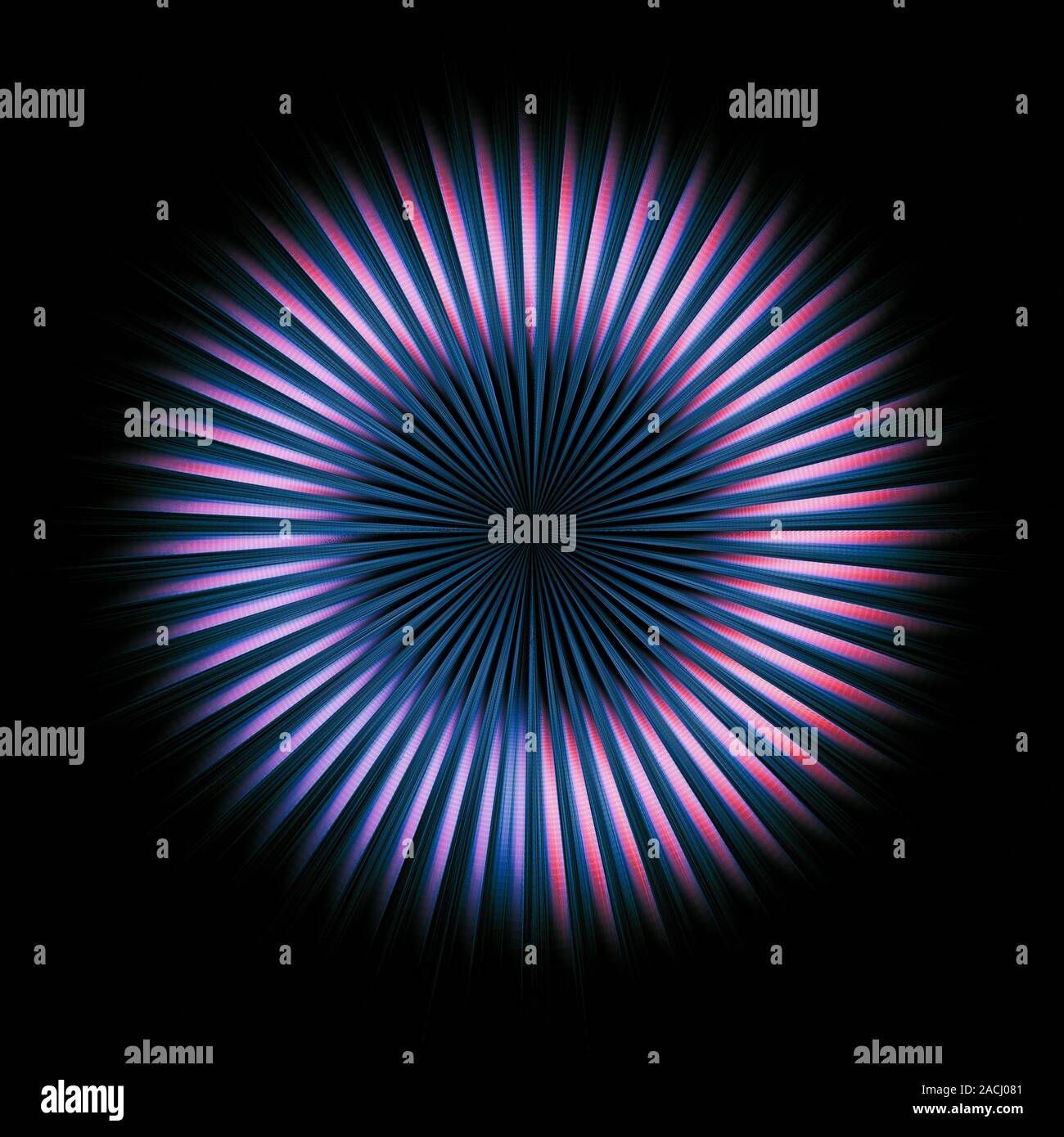 Cricket song, wavelet graph. This image was produced by converting the ...